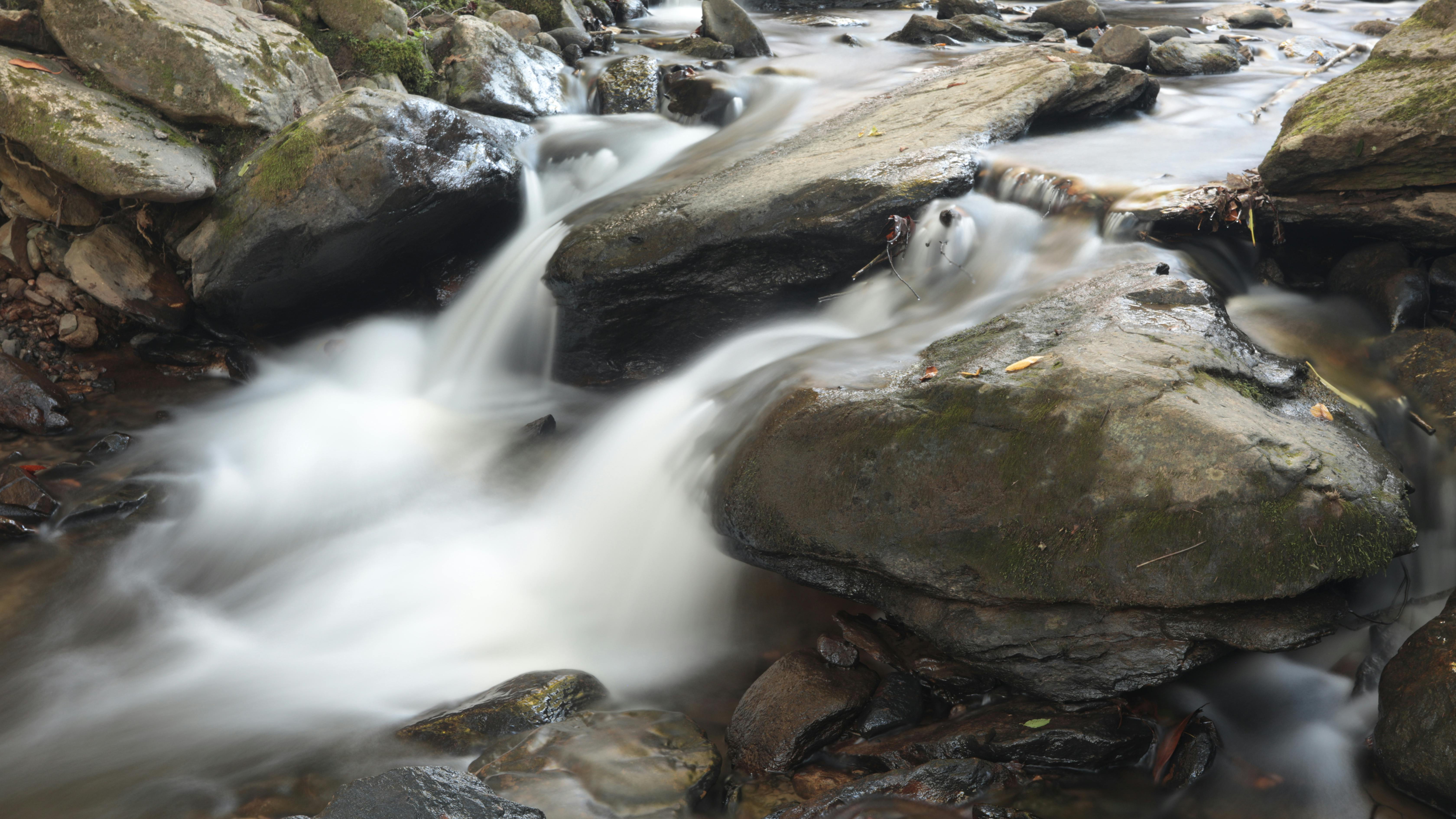 North Carolina Stream Watch announces new educator cohort | Stormwater ...